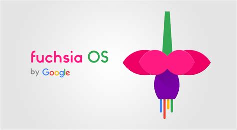 Fuchsia Os Install Xamloud