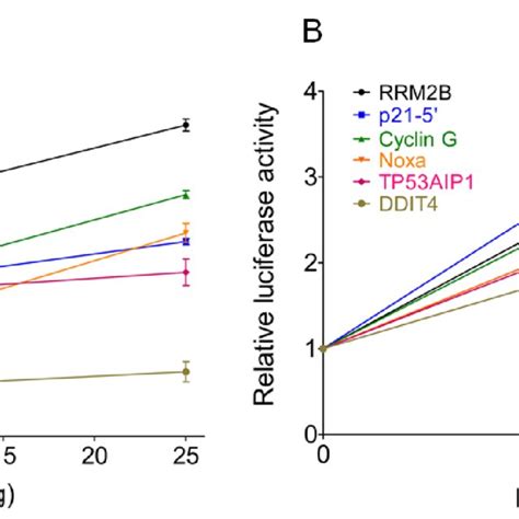 Consensus P53 Binding Motifs By P53 Dependent Functional Outcome