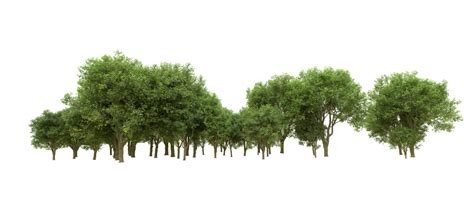 Line Of Trees Pngs For Free Download