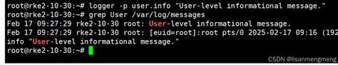 syslog 命令介绍和使用案例 linux syslog输出在哪个文件 csdn博客