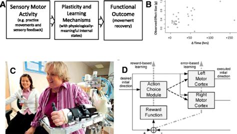 A General Framework Of Computational Neurorehabilitation Models Such Download Scientific