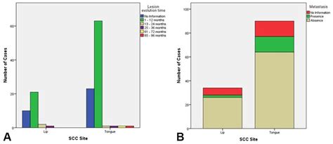 Number Of Cases N In Relation Of Lesion Evolution Time A Number Of