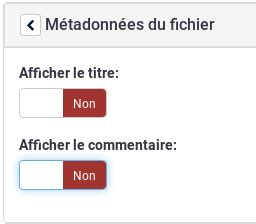 Disabling Title And Comment Input Fields Of File Upload Dialog