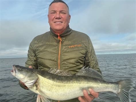 Оставшись без работы экс сенатор занялся хобби Вологда и Вологодская область ИА СеверИнформ