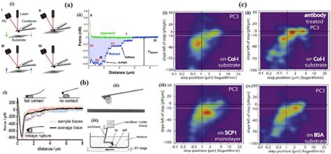 Atomic Force Microscopy A Depiction Of A Cell Adhesion Measurement Download Scientific