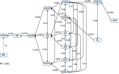 6 Path Analysis Model Diagram Showing Causal Relationships Of Hybrid