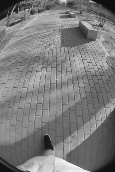 Test Count Classes Object Detection Dataset By Monir