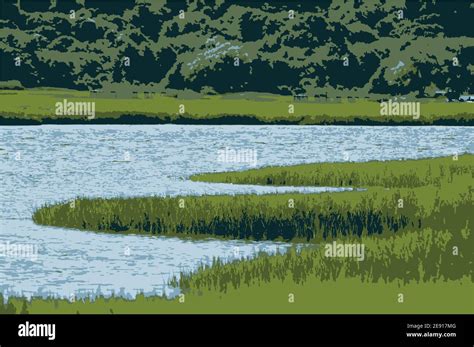 Massachusetts Marsh Stock Vector Images Alamy