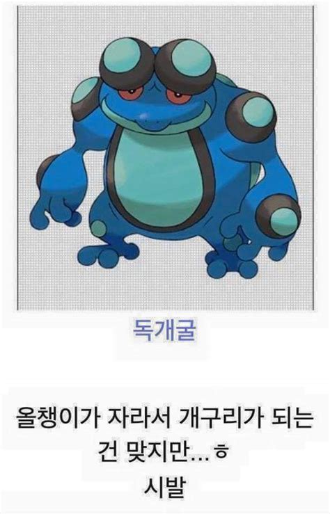 진화하면 역변하는 포켓몬들 인스티즈 Instiz 이슈 카테고리