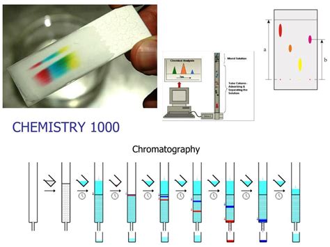 Chromatography Data Analysis Ppt At Lisa Cunningham Blog