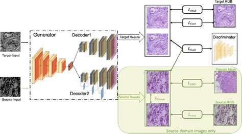 Our Proposed Semi Supervised Gan Based Stain Normalisation Model By