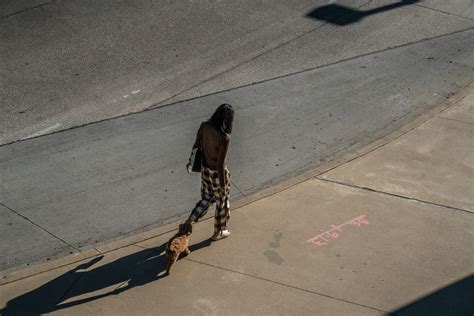 Nude Woman Walking A Dog Pictures Download Free Images On Unsplash