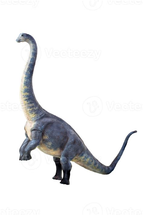 Dinosaur Brontosaurus Isolated Background 22609501 Png