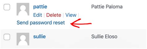 Wordpress Not Sending Password Reset Email How To Fix It