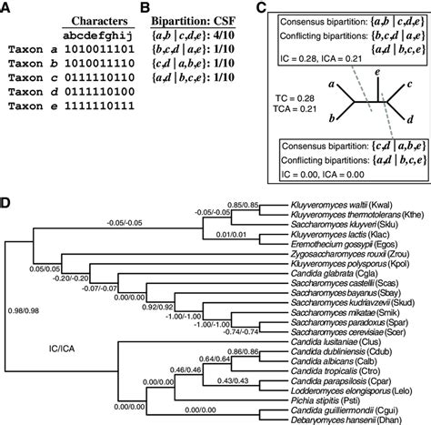 IC ICA TC And TCA Can Quantify Incongruence In Any Set Of Characters Download Scientific