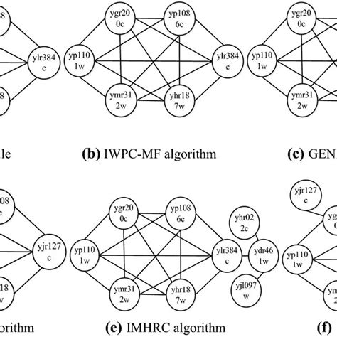 Visualization Comparison Of Protein Complexes Of Each Algorithm Download Scientific Diagram