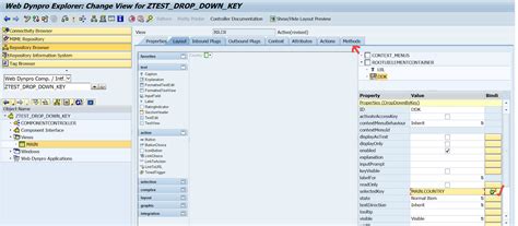 Dropdown With Key In Web Dynpro Sapcodes