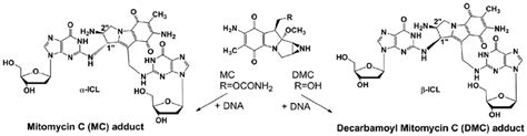 Mitomycin C Mc And Decarbamoyl Mitomycin C Dmc Interstrand