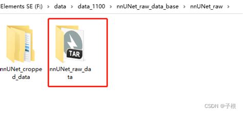 nnunet个人数据训练心得 nnunetv CSDN博客