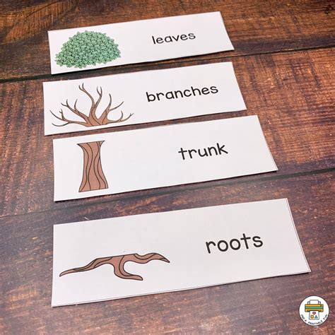 Leaves Trees Activity Pack Pre K Printable Fun