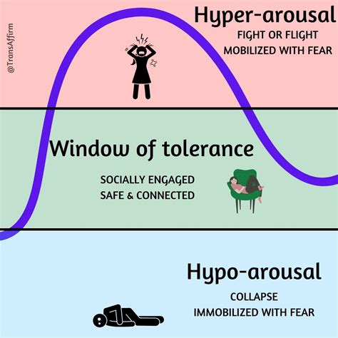 Window Of Tolerance Colette Lord PhD
