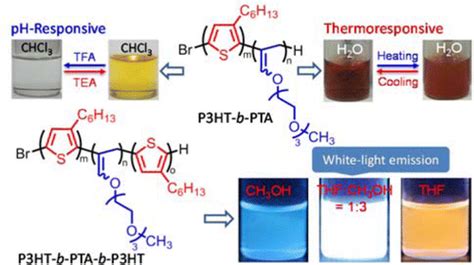 含聚（3 己基噻吩）和聚（三乙二醇丙二烯）链段的单罐合成嵌段共聚物的多刺激响应和白光发射 Macromolecules X Mol