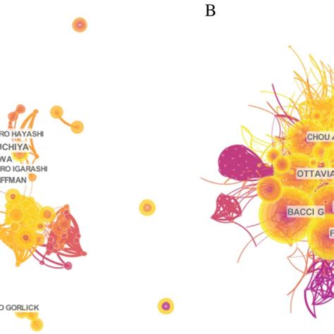 The Distribution Of Authors Engaged In Osteosarcoma And Cure The Download Scientific Diagram