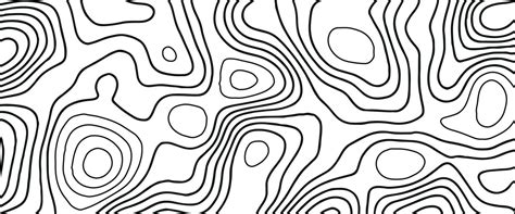 Abstract Blank Detailed Topographic Contour Map Subtle White Vector Background Geographic