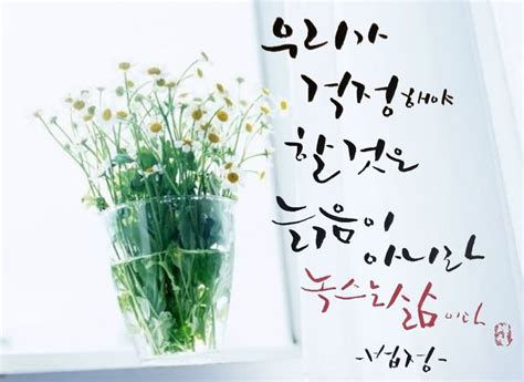 캘리에 있는 핀 손글씨 문구 손글씨 문구