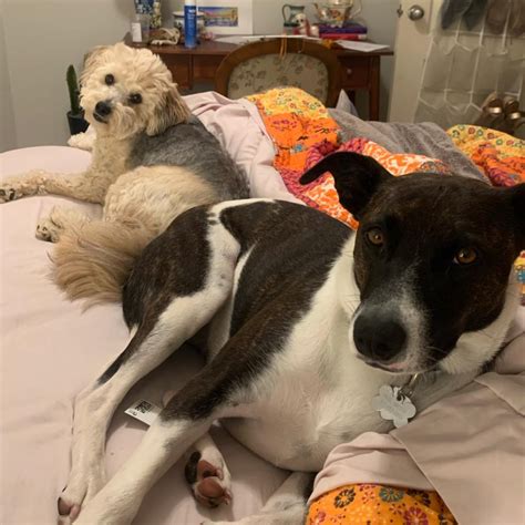 Murray And Hazels Murray And Hazels Excellent Adventure