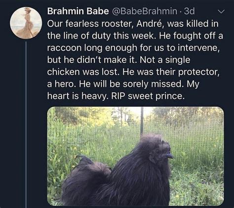 Rip André Rnextfuckinglevel