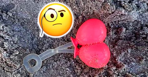 objects that ll raise questions and we ve got your answers thechive