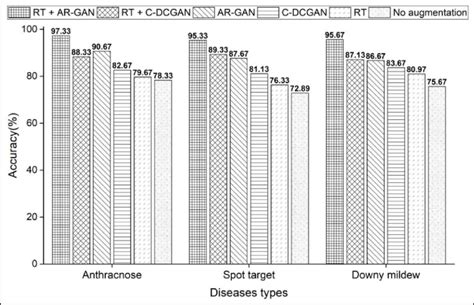 Identification Accuracy Using Different Data Set Augmentation Methods