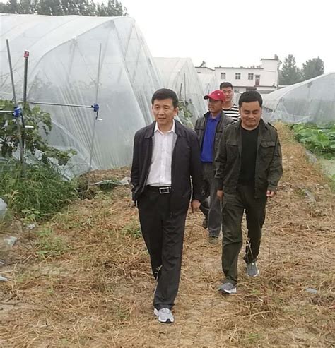 正阳县付寨盗墓 正阳县规划图 河南正阳县人物 第14页 大山谷图库