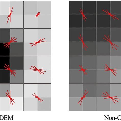 Illustration Of The Histogram Of Oriented Gradient Features Download