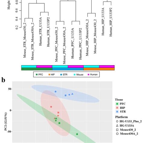 Gene Expression Pattern Analysis A Hierarchical Clustering
