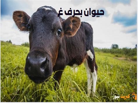 أسماء الله الحسنى كاملة بالترتيب مكتوبة مع معانيها كبريت نيوز