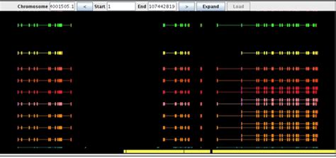 Ensembl Gene Annotation Workshop Ensembl Blog