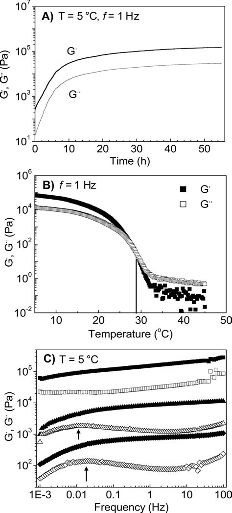 A Time Evolution Of Storage Modulus G′ And Loss Modulus G″ After