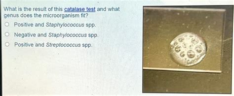 Solved What Is The Result Of This Catalase Test And What