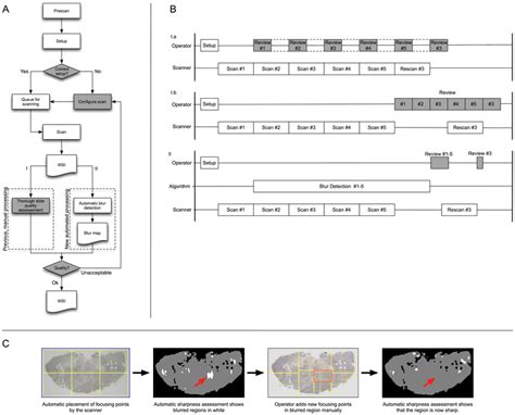 Complete Scanning Workflow And Sequence Of Processes A Illustration Download Scientific
