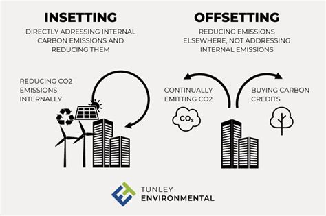 Carbon Insetting Vs Carbon Offsetting Intraco Carbon Viet Nam