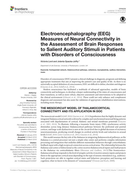 Pdf Electroencephalography Eeg Measures Of Neural Connectivity In The Assessment Of Brain