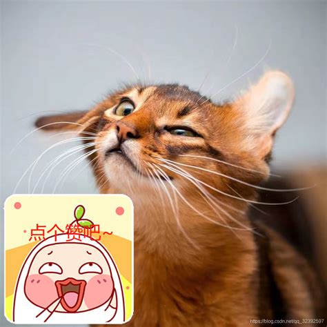 Python执行osrename 报错：windowserror Error 2 Windowserror Error2 Csdn博客