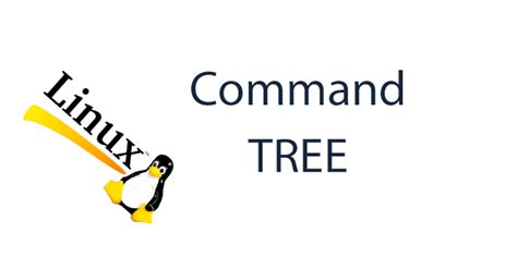 Использование команды Tree в Linux Рецепты Linux