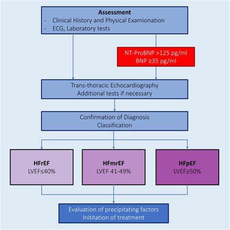 The Summary Of Cor For Medications Suggested For Hfpef Download