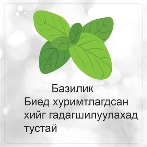 Эрүүл мэндээ Эрүүл мэндээ хайрладаг хүн бүрт зориулав