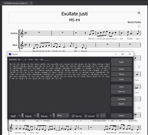Plugin Add Lillylyrics Plugin To Musescore 4 · Issue 16023 · Musescoremusescore · Github