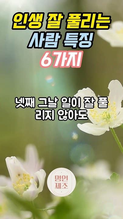인생 잘 풀리는 사람 특징 6가지 오디오북 인간관계 조언 인생명언 처세 명언 동기부여 좋은글 명언 지혜 자기계발 인생조언 지혜 Youtube