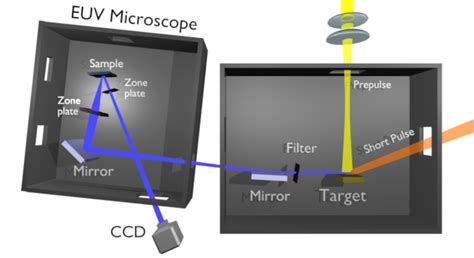 More On EUV Francesco Pedaci